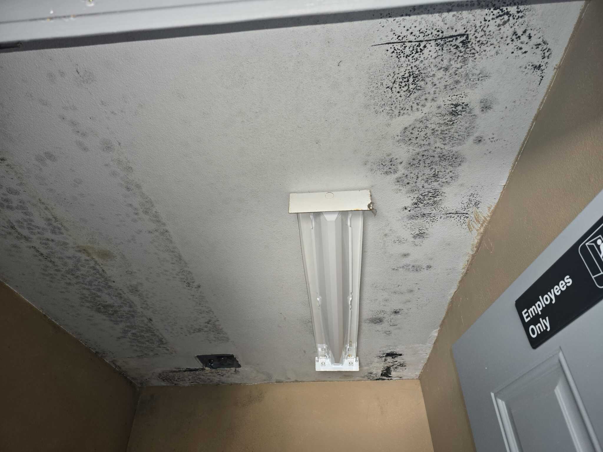 Symptoms of Mold Exposure: Tests and Treatment Solutions