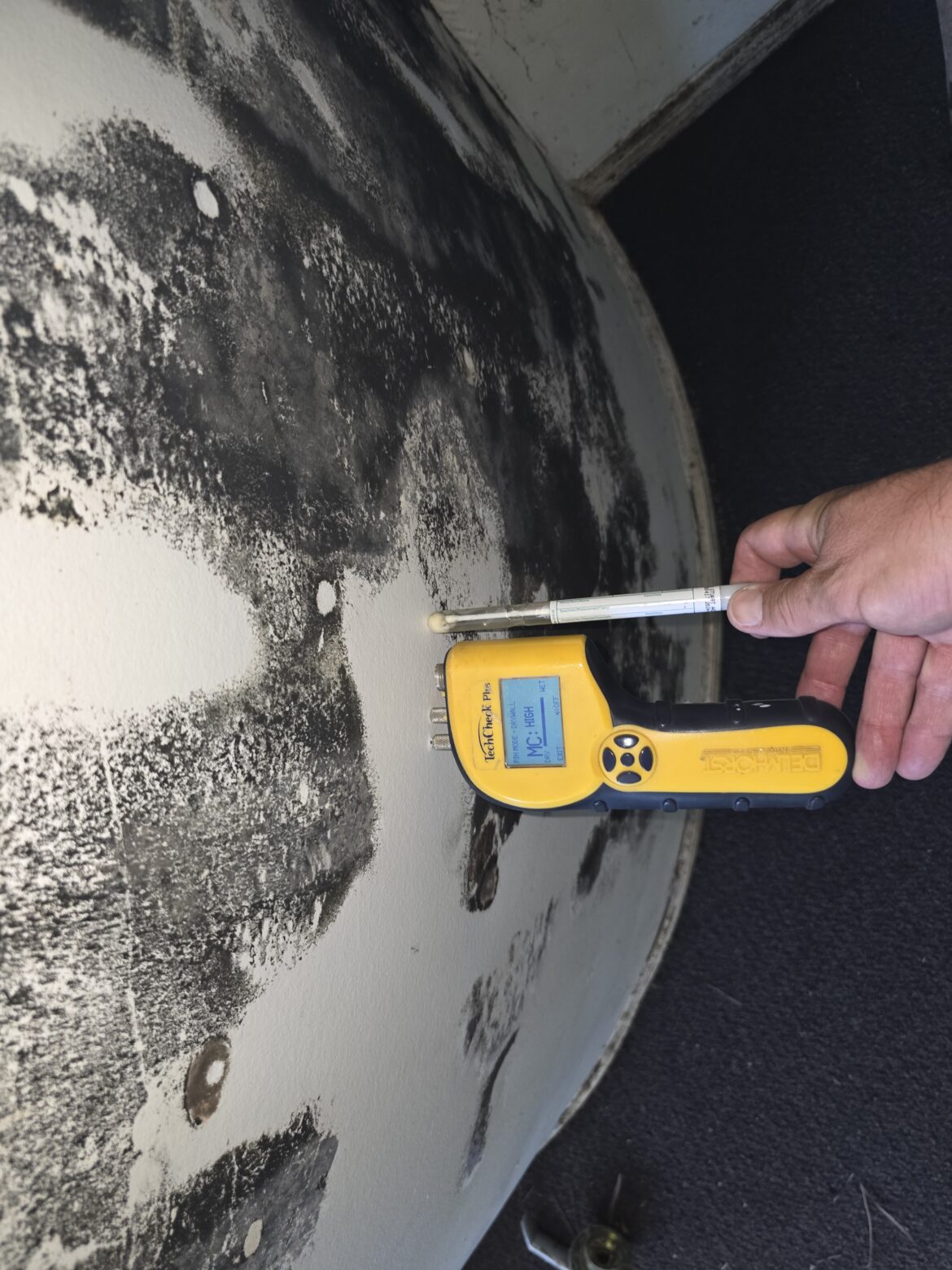 Symptoms of Mold Poisoning and How To Avoid It - The Mold Facts