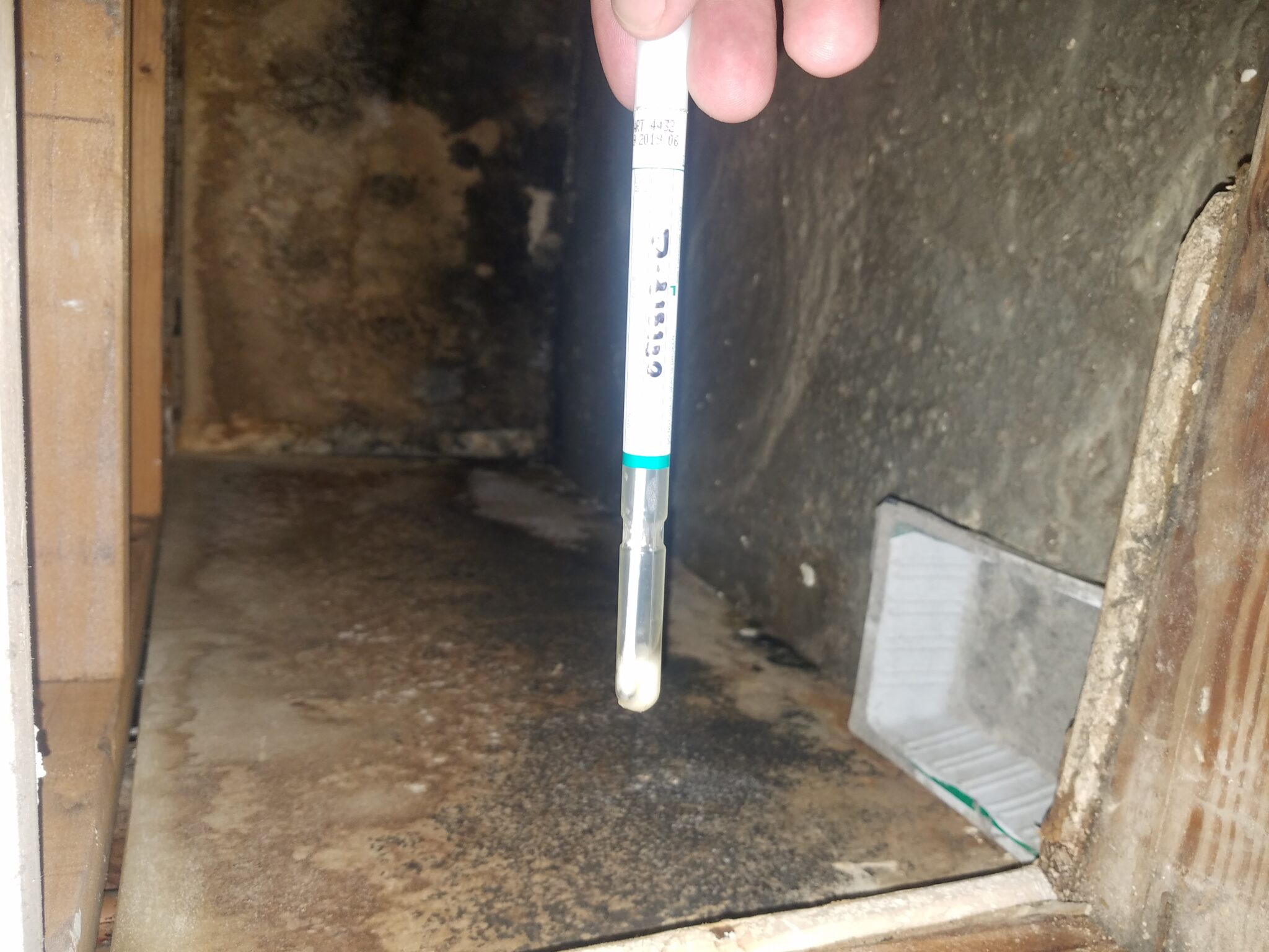 Innovative Technologies for Mold Detection and Remediation - The Mold Facts