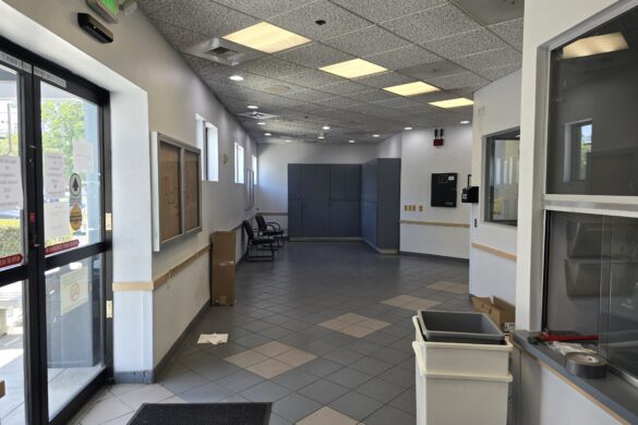 Winter Mold: Why Mold Can Be a Problem Even in Cold Weather - The Mold ...