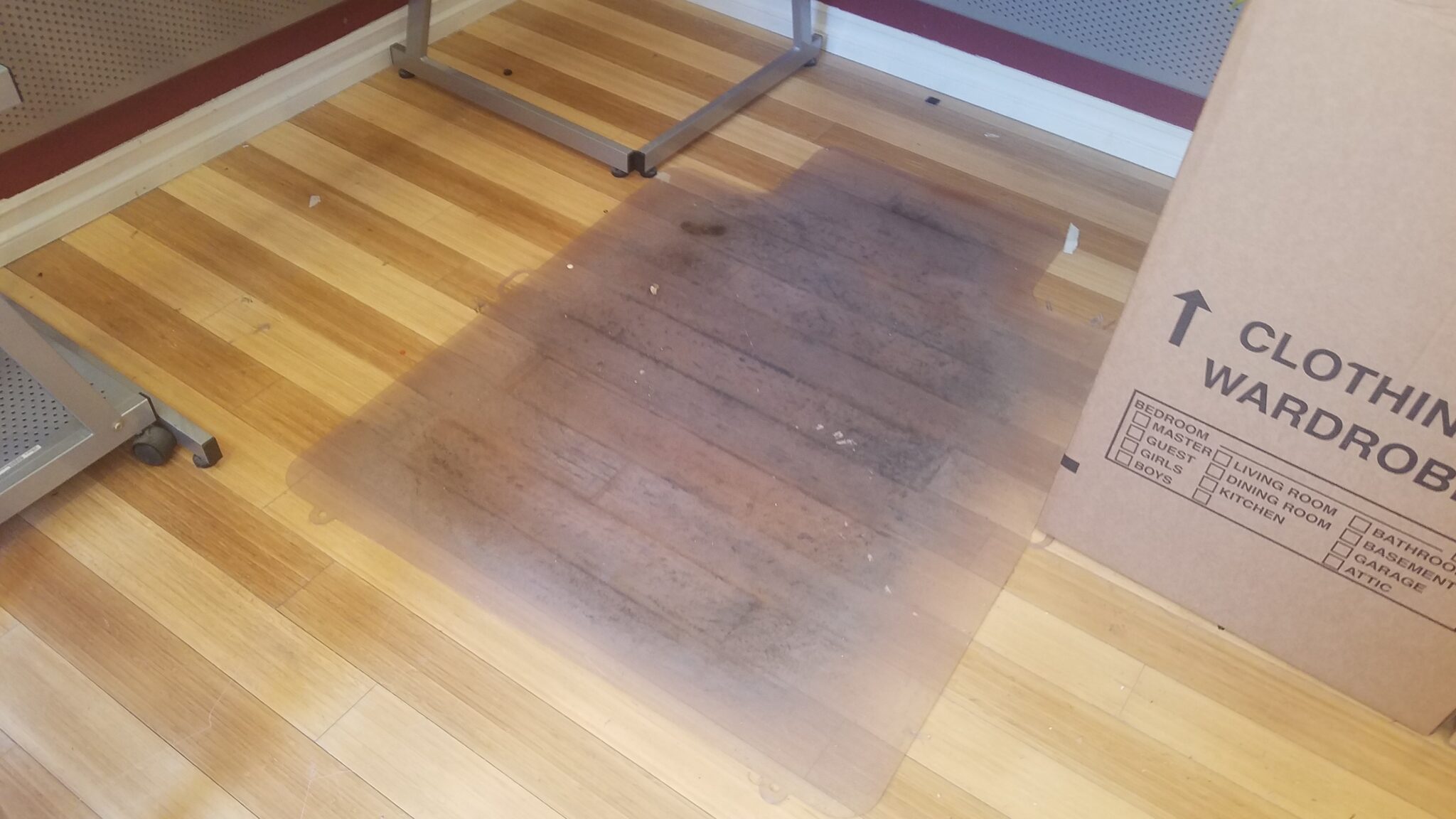 mold on the floor - The Mold Facts