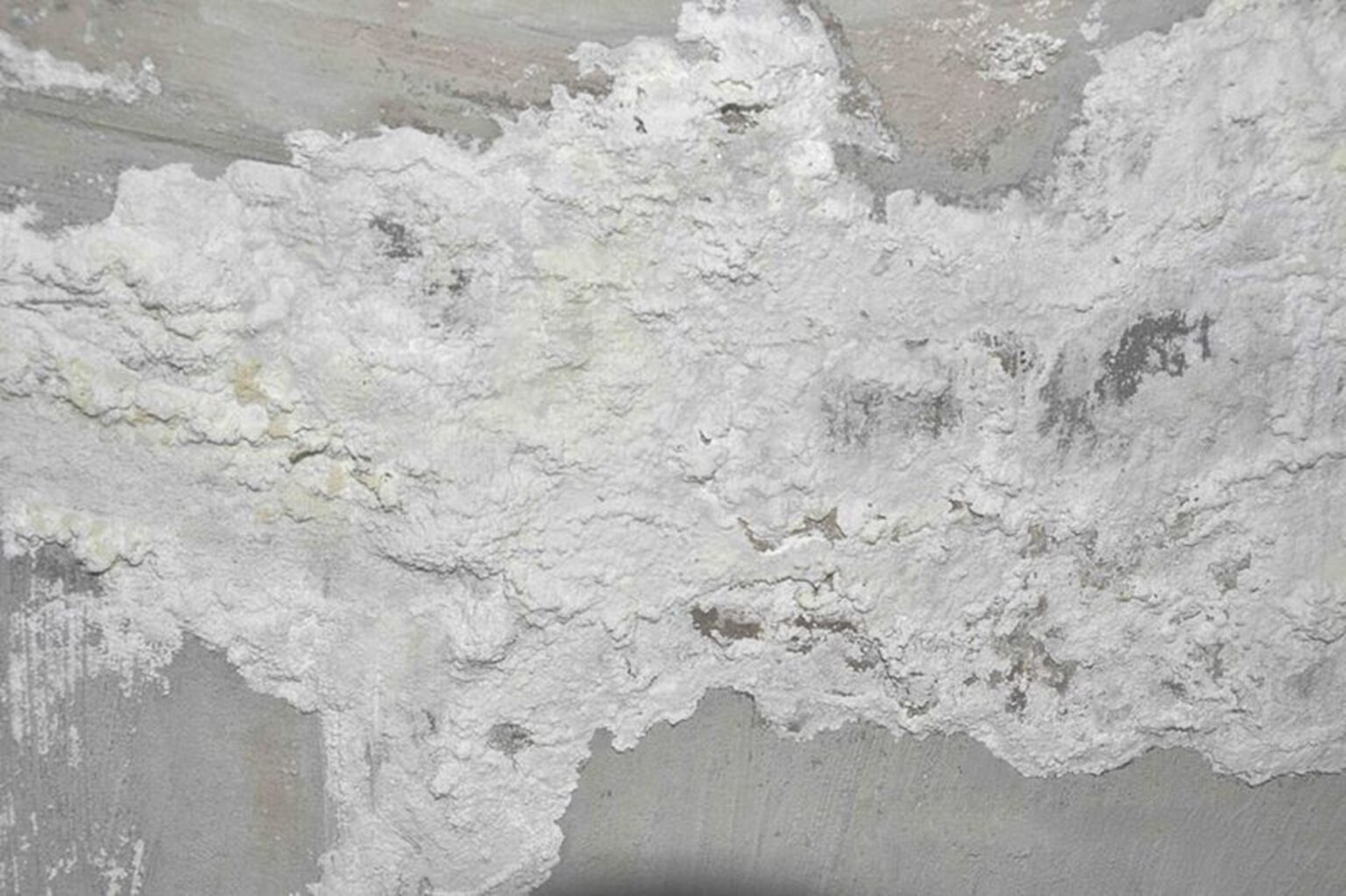 White Mold or Just Salts? The Fast Way to Tell (and Fix It) - The Mold ...